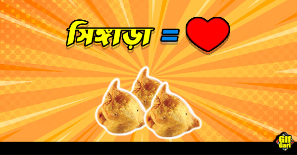 জেনে নিন কেন আপনাকে একজন সিঙ্গাড়া প্রেমিক বলা উচিত - GifGari